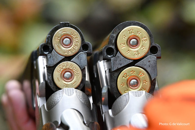 Calibre 12 ou calibre 20 : telle est la question - AIR & NATURE