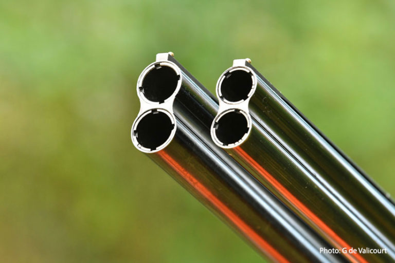 Calibre 12 ou calibre 20 : telle est la question - AIR & NATURE