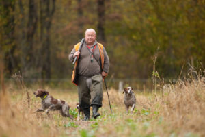Faisan vénéré : l’oiseau de battue - AIR & NATURE